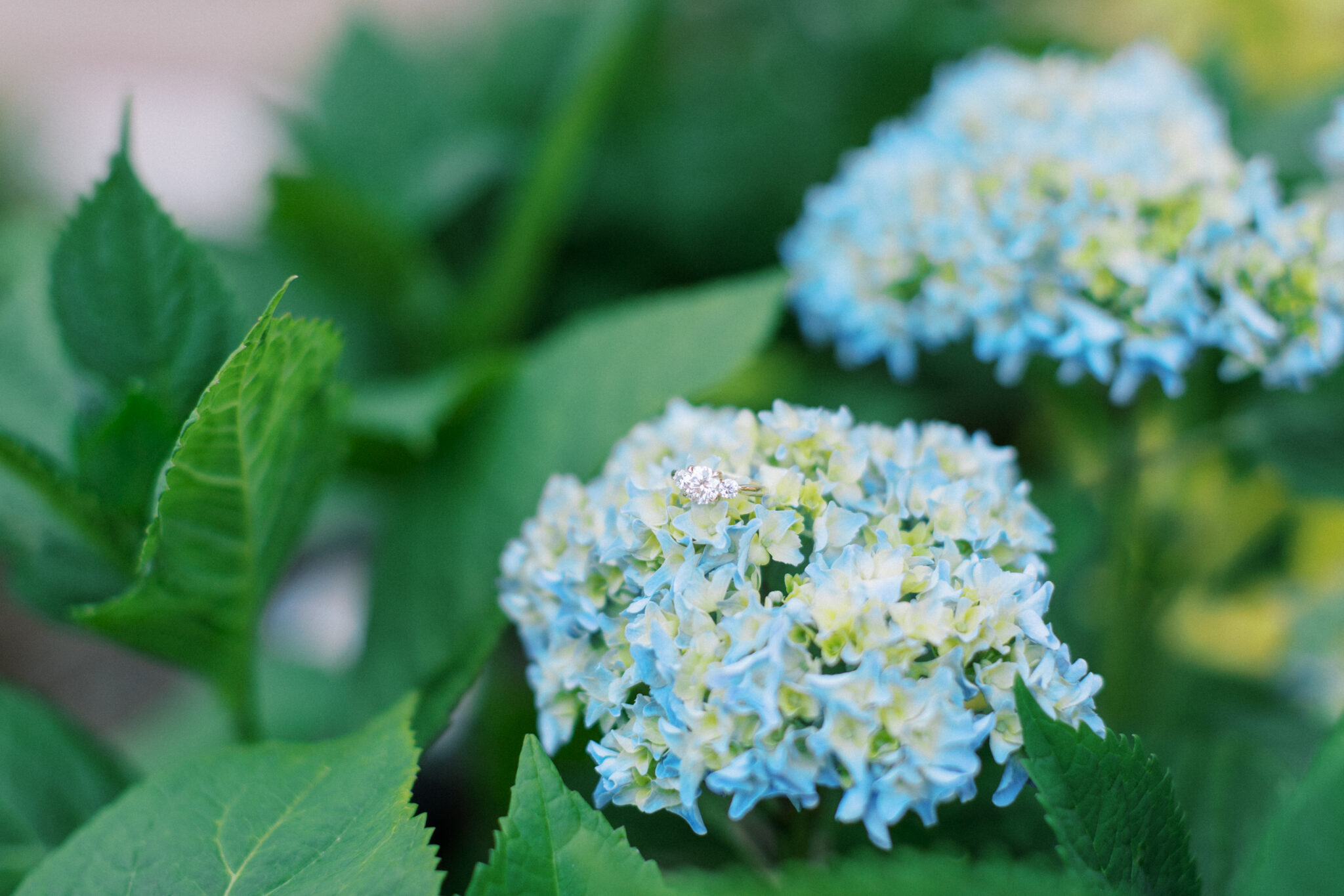 My Sister Got Engaged!!! / Cameron + Silas / Downtown Leesburg ...